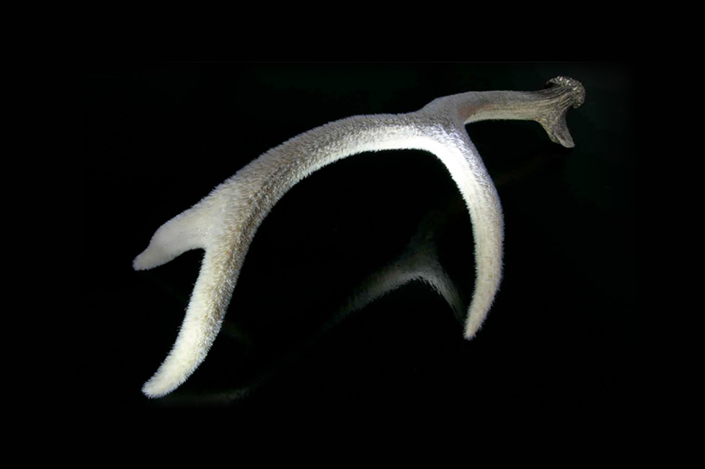 Things Unspoken – Cape Farewell